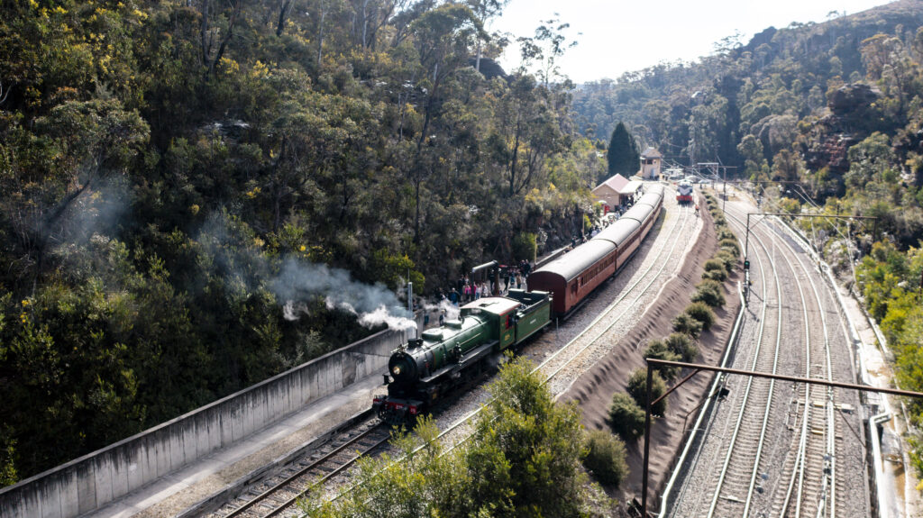 Thomas Tank Engine Trains | Blue Mountains for Families